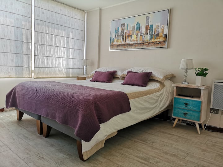 Comfortable, Cozy & Central Apt Forestal Park 239 - Recoleta, Chile