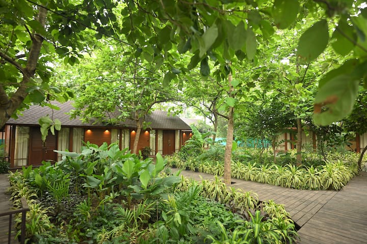 The Woods - Forest Living - Anand