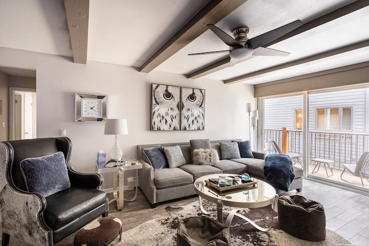 Cozy & Chic South Point Condo - Aspen, CO