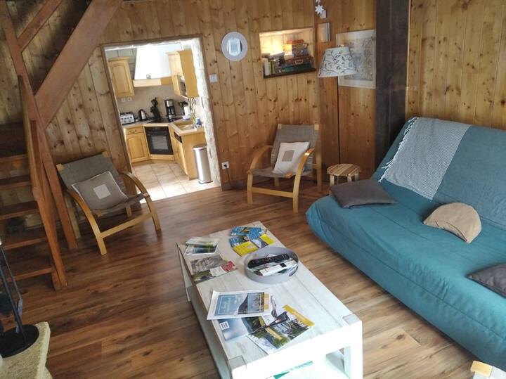 Agréable Chalet 6 Pers., Sauna, Wifi, Alt 800 M. - La Bresse