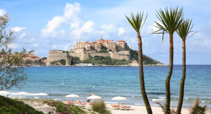 T2 Résidence Sécurisée Près Plage Commerce  202 - Calvi