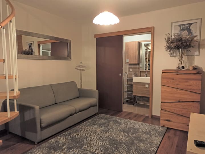 Gîte Confort Ossature Bois Avec Piscine à Pezenas - Pézenas