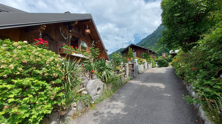 Le Pic Vert : Montagnard Et Apaisant. Vue Aravis. - Sallanches