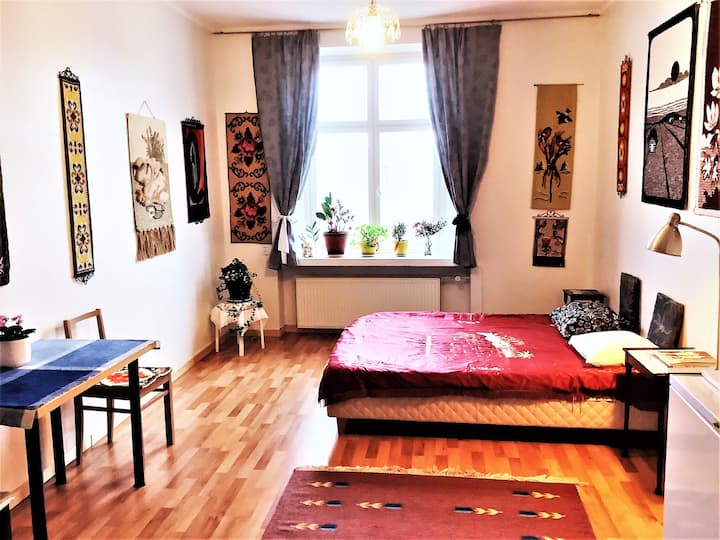 Spacious And Simple In The Heart Of Helsinki - Helsinki