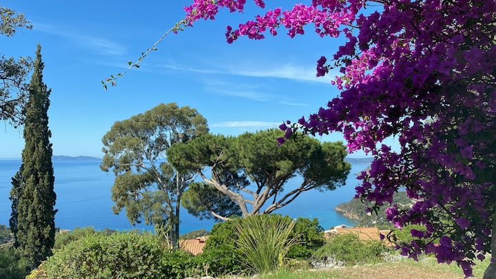 Villa De Charme 8 Pers- Superbe Vue Mer - Piscine - Rayol-Canadel-sur-Mer