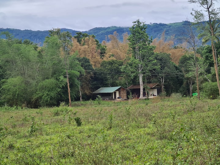 Jungle Cabin, Bandipur, Deep Jungle Home - Gudalur