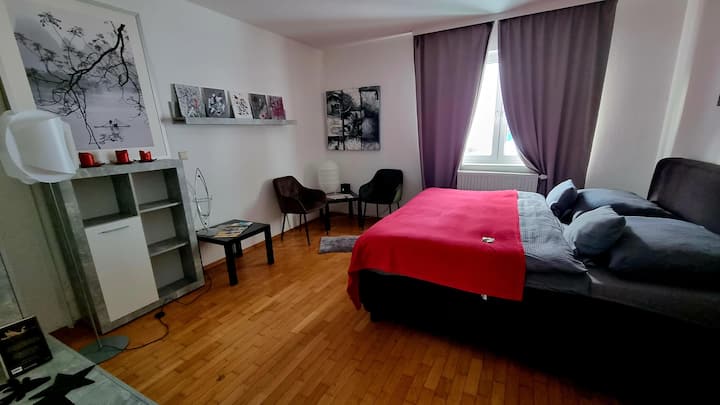 Zentral & Fein! Kurzzeitwohnen Berufliche Reisen - salzbourg