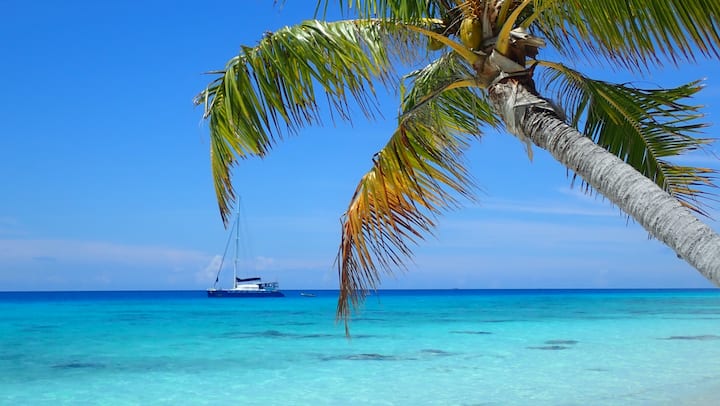 Bateau - Bora-bora, Polynésie - Tahití