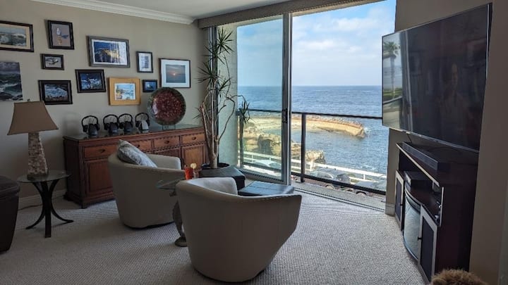 Oceanfront Condo La Jolla Cove -Seal Beach - San Diego