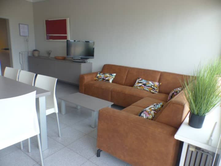 Superbe Appartement Front De Mer - Nieuwpoort