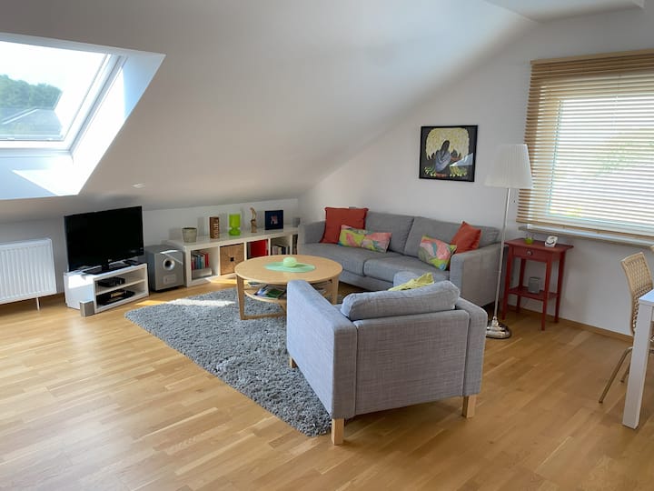 B&f Apartments - Studio 2 - Grenzach-Wyhlen