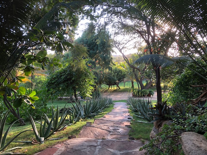 Surfingbirds - Máncora