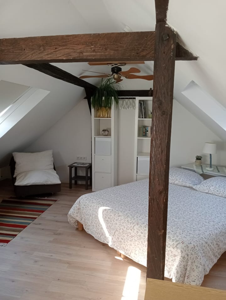 Nice: Under The Roof With Bathroom! - Neu-Ulm