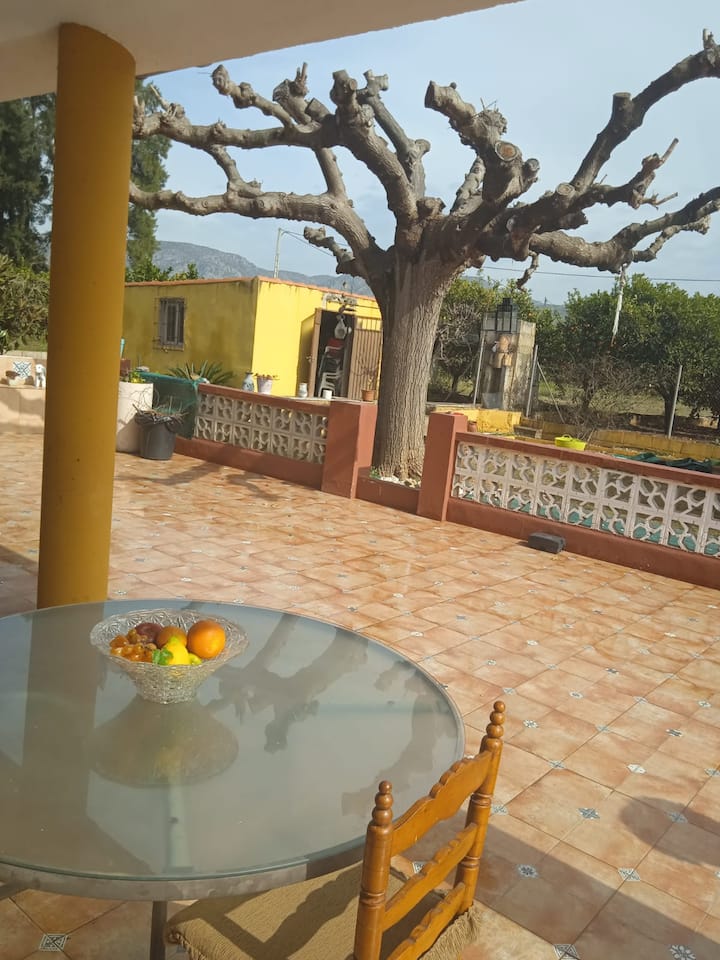 Casa De Campo - Alzira