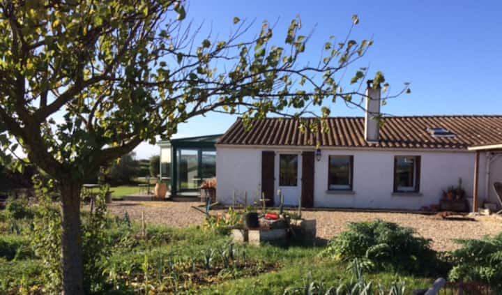 La Maison Du Cayenne - Marennes