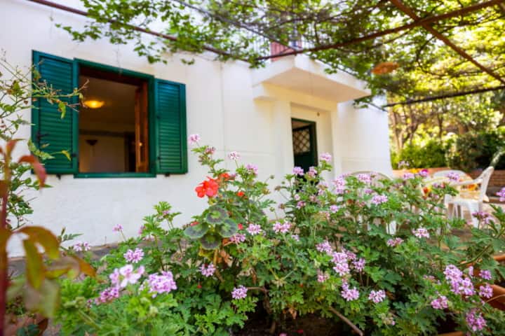 Casa I Gelsi -