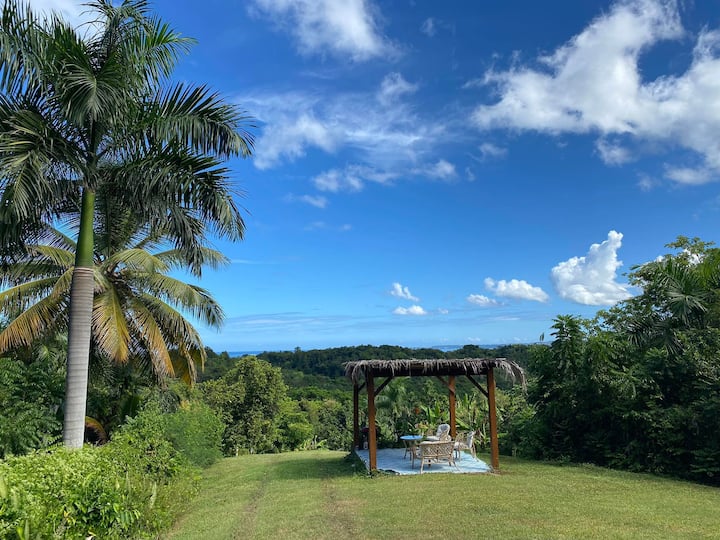24 Best Airbnbs In Rincon, Puerto Rico - Updated 2022 | Trip101