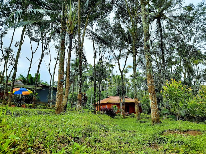 Wayanad Holiday Rentals & Homes - India | Airbnb