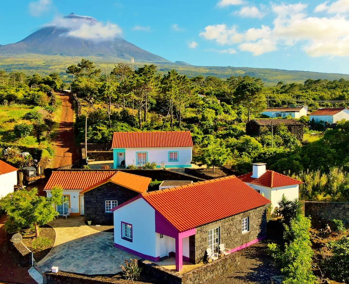 Yes Pico - Yellow House - Pico