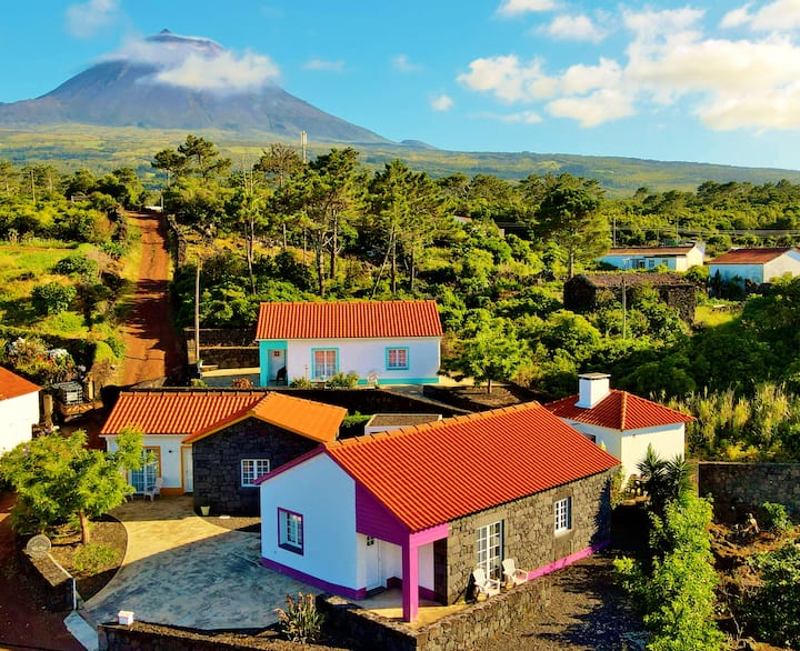 Yes Pico - Purple House - Pico