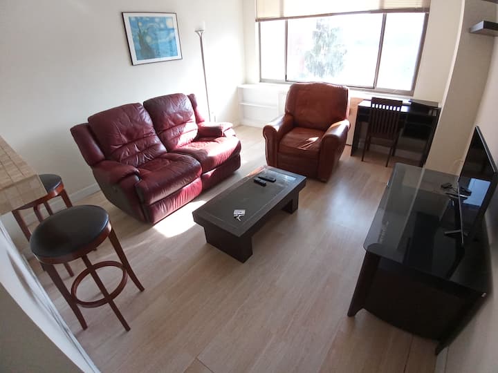 Rosslyn Metro: Entire Hi-rise Apt & Great Location - Arlington, VA