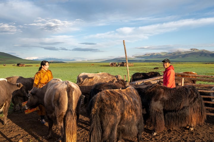 Nomadic Stay At Orkhon Valley - Mongolia