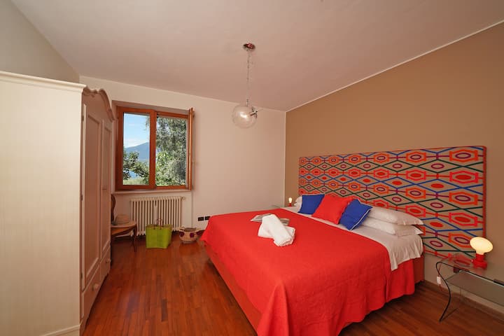 Anna A Torri  M230860080 - パイ