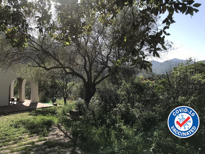 Casa Ollastus - Cottage Near San Giovanni Cave - Sardaigne