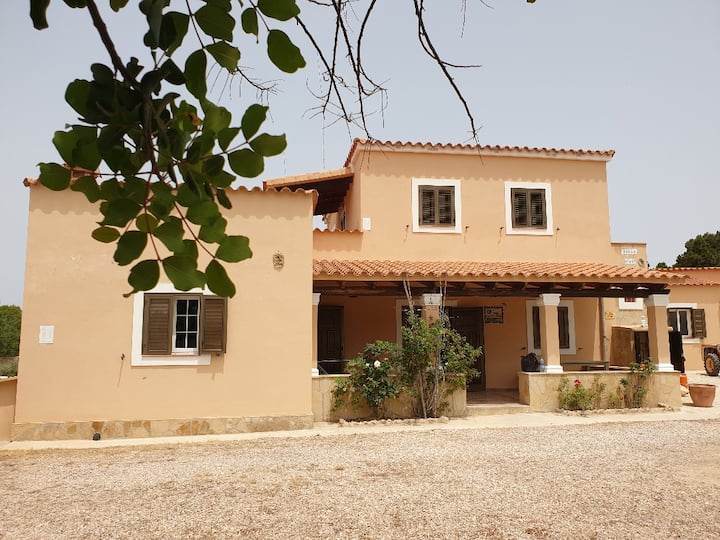 Paco Paya Abajo By Formentera Feeling - Formentera