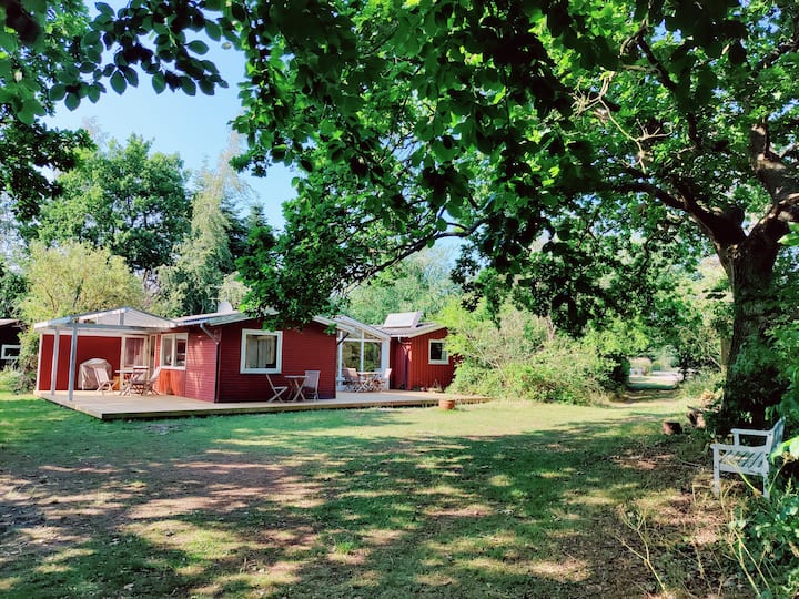 Pænt Sommerhus Med 4 Værelser - Denmark