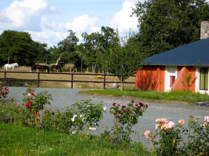 Saloon Piscine Chauffée Soirée/30 Pers. Camping - Blain