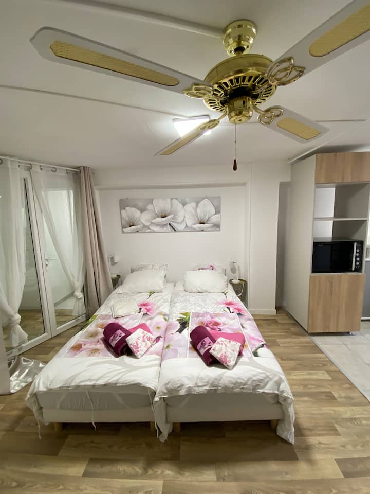 Studio Calme Cosy Indépendant Rénové En 08/23 - Colomiers