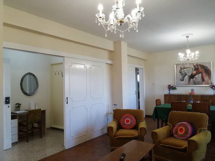 Nicosia Spacious 2-bedroom Flat Retro Decor - Nicosia