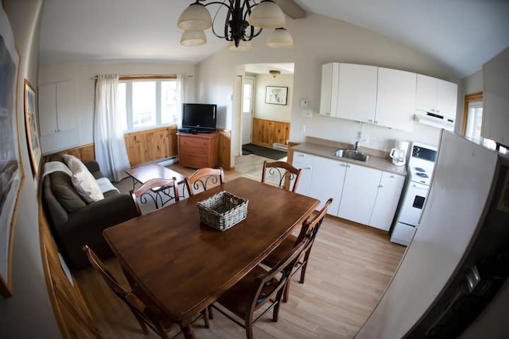 Condo Standard #12 (2 Chambres) - Mont Sutton, QC