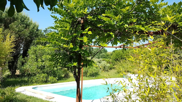 Gîte Dans Un Lieu Verdoyant Avec Piscine - Rabastens