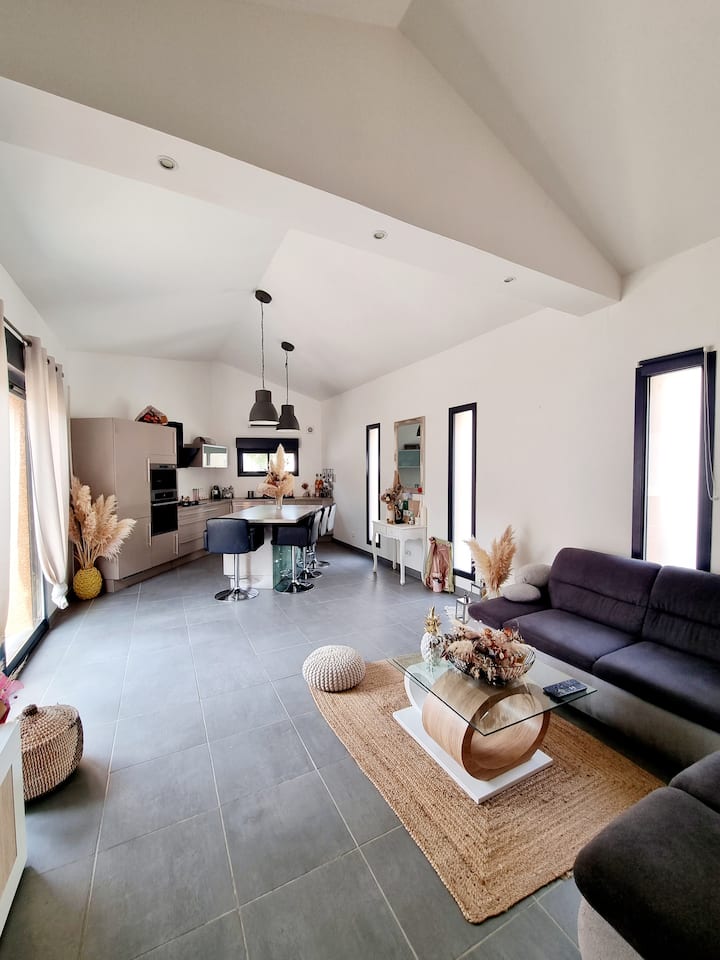 Maison Lumineuse Avec Jardin Et Barbecue - Capestang