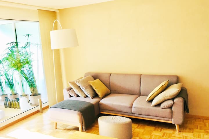 Grand Appartement Lumineux Proche Du Lac - Versoix