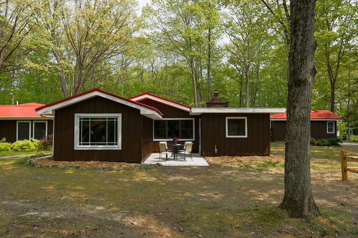 Large Close To Interlochen Academy 3 Br Home - Interlochen, MI