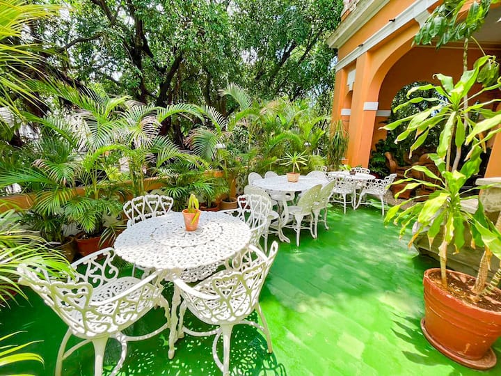 Havana Vip: Mojito Class + Fast Wifi  Included - Havana