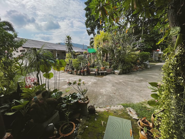 Papaya House 2 Bedrooms, Lamai - Koh Samui