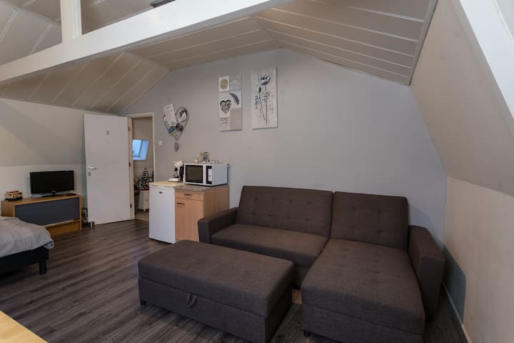 Place 2b In Countryside Of Amsterdam, Room 2 - Purmerend