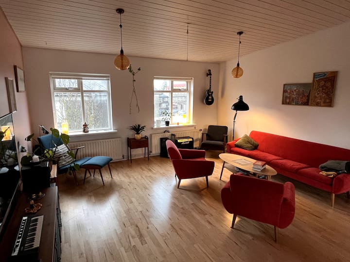 Top Flat In Central Reykjavik (With Cat) - Reikiavik