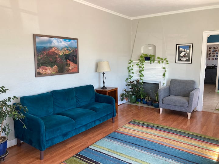 Light-filled Colorful Home Close To Bart - Oakland, CA