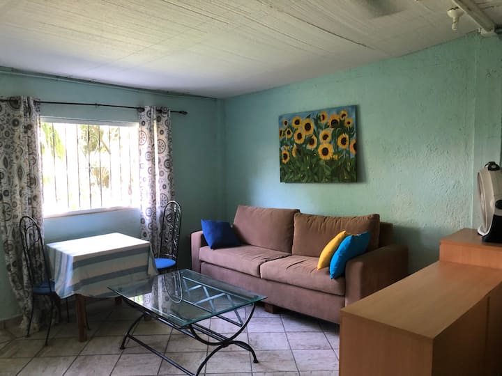 The Pastor’s Studio 2 - Puerto Vallarta