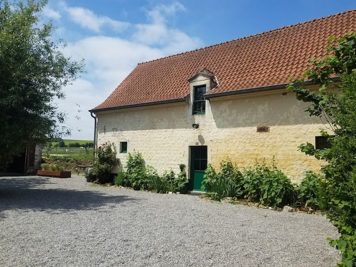 Le Big Family - Mont De La Louve - Wissant
