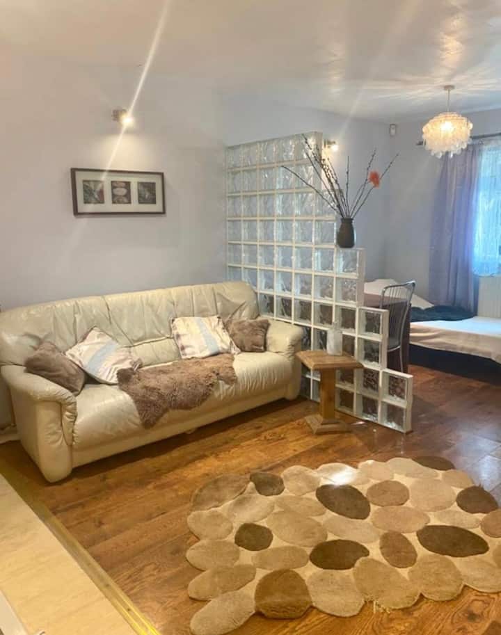 Cosy 1 Bed Flat, 15 Min To Kew Gardens - 브렌트퍼드