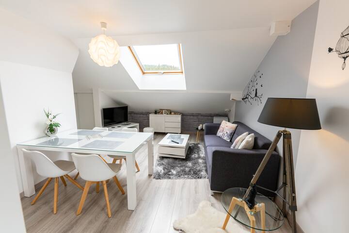 Gite L'améthyste "Jade" 3*cen.vil Terrasse Netflix - Xonrupt-Longemer