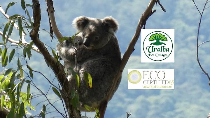 Kookaburra Cottage At Uralba Eco Cottages - Kyogle