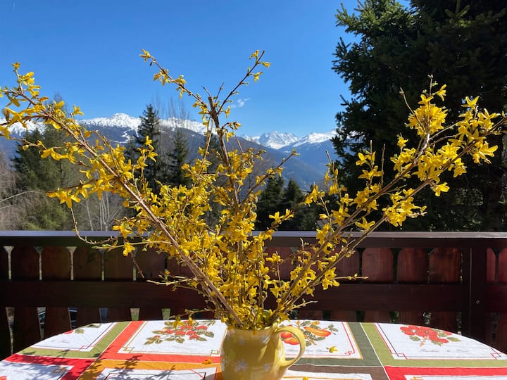 Chalet Fairytale - Sion