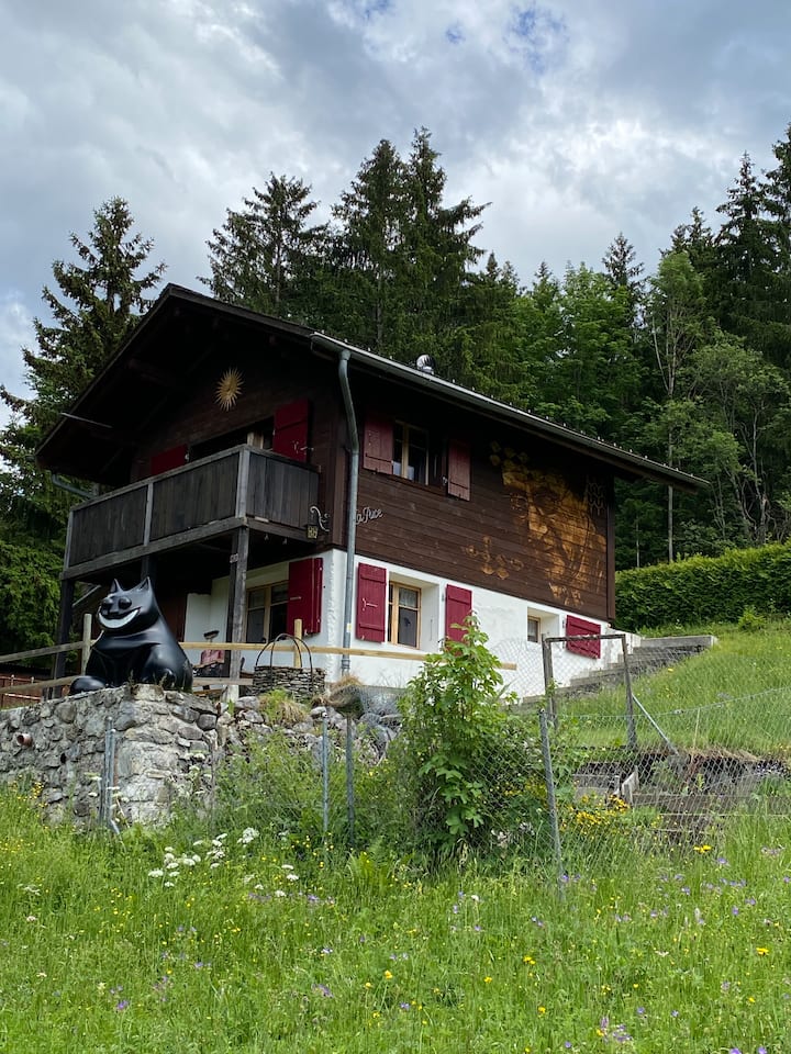 Chalet La Puce ***, Pour 1 à 4 Personnes - Saanen